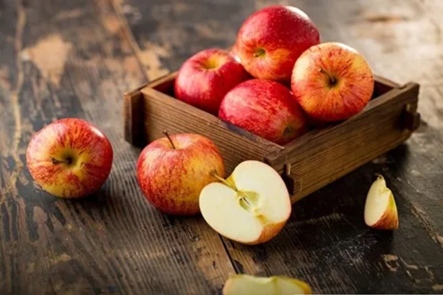 ORCHARD OASIS FOOD STUFF TRADING LLC